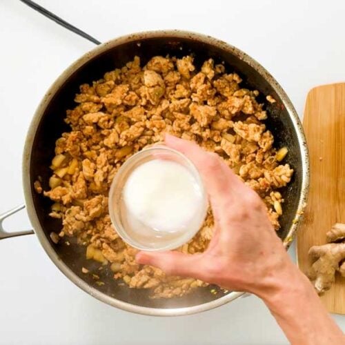 Sesame Ginger Asian Ground Chicken Filling - Gentle Tummy