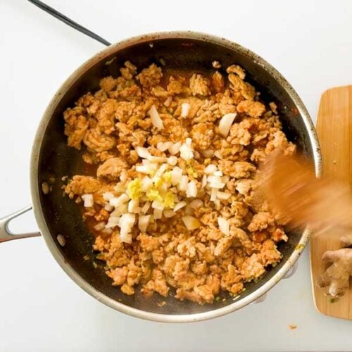 Sesame Ginger Asian Ground Chicken Filling - Gentle Tummy